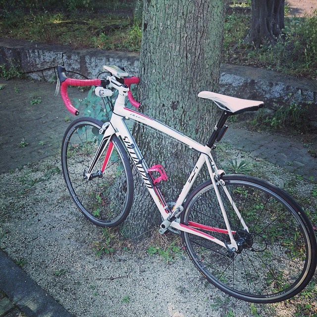 MyBike | Specialized Allez Sport 2011
